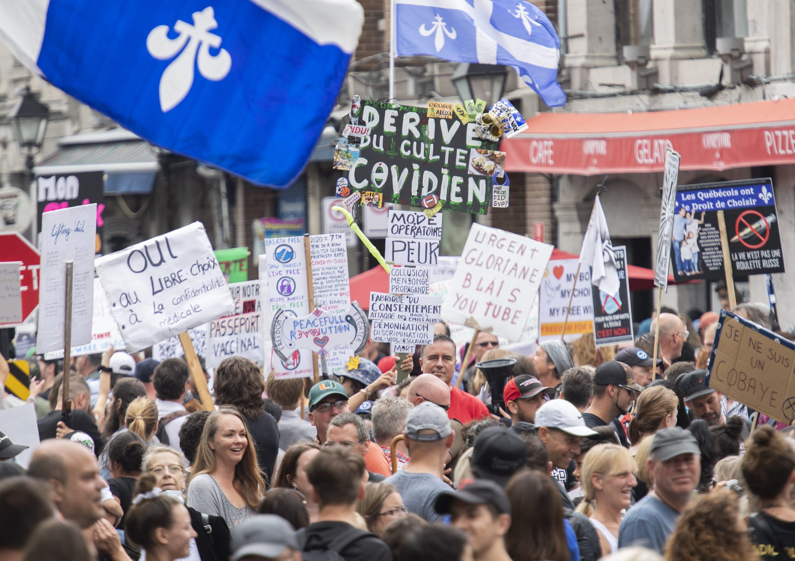 Top stories across Montreal in 2022 - CityNews Montreal