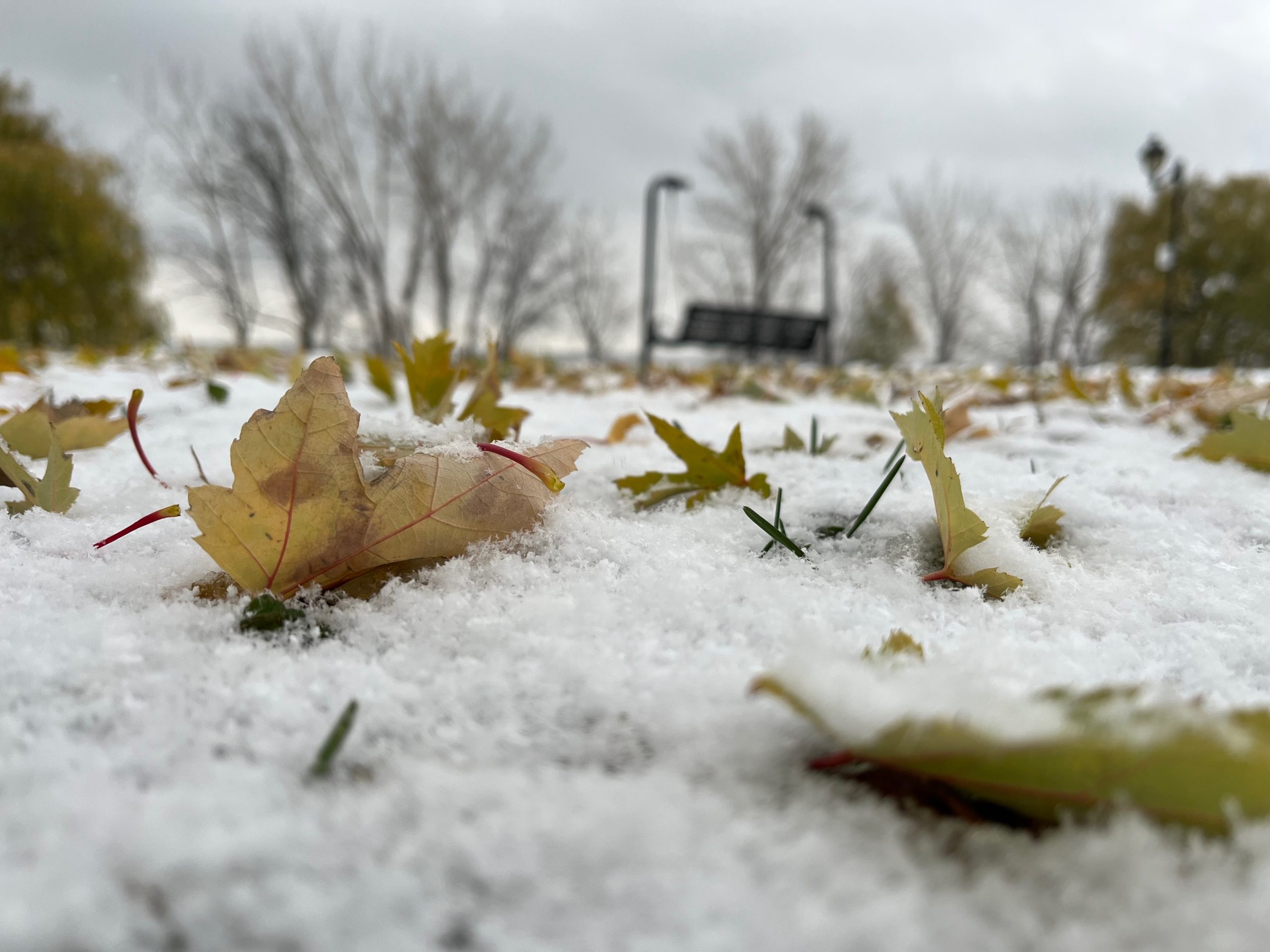 Arrival of spring brings colder weather for Montreal