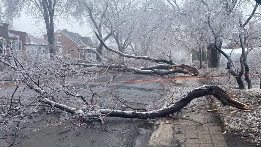IN PHOTOS: Sights from Montreal following freezing rain storm ...