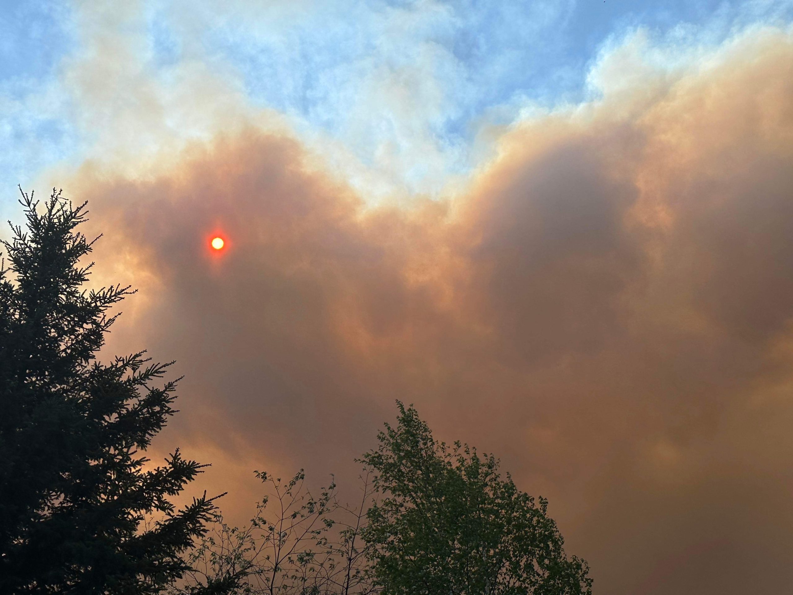 'Flames overtaking trees': thousands evacuated as forest fires rage on ...