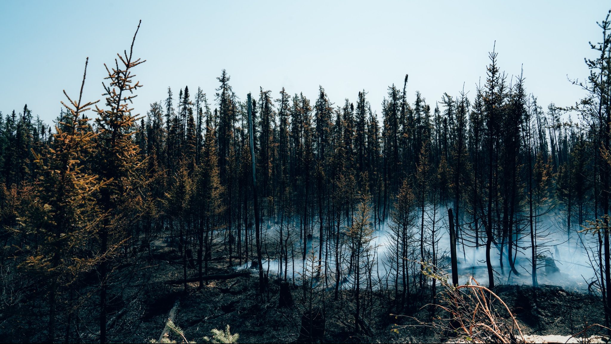 Northern Quebec town evacuated as wildfires spread - CityNews Montreal