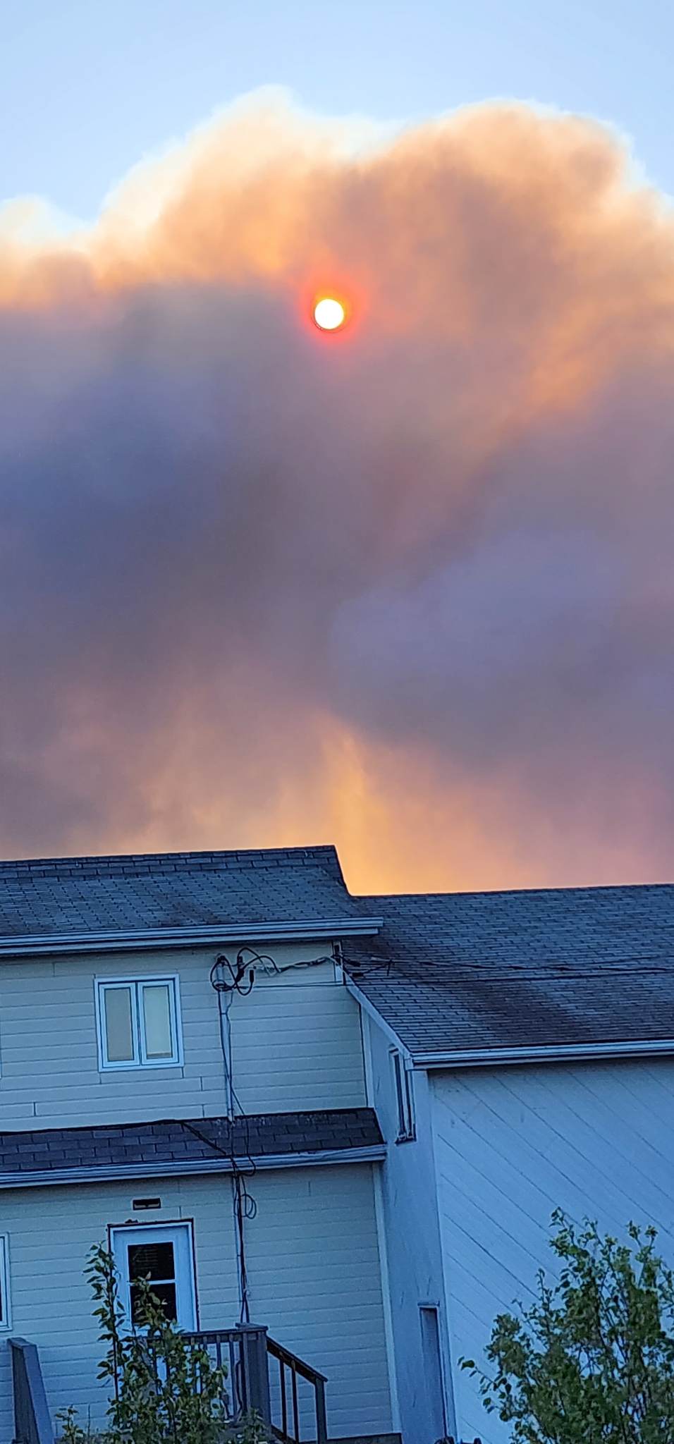 'Flames overtaking trees': thousands evacuated as forest fires rage on ...