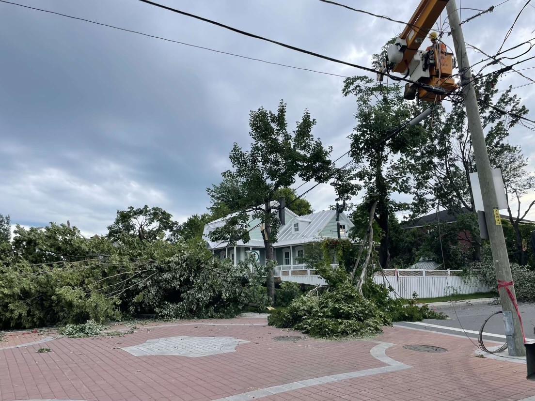 Quebec storm: 20,000 households still without power - CityNews Montreal