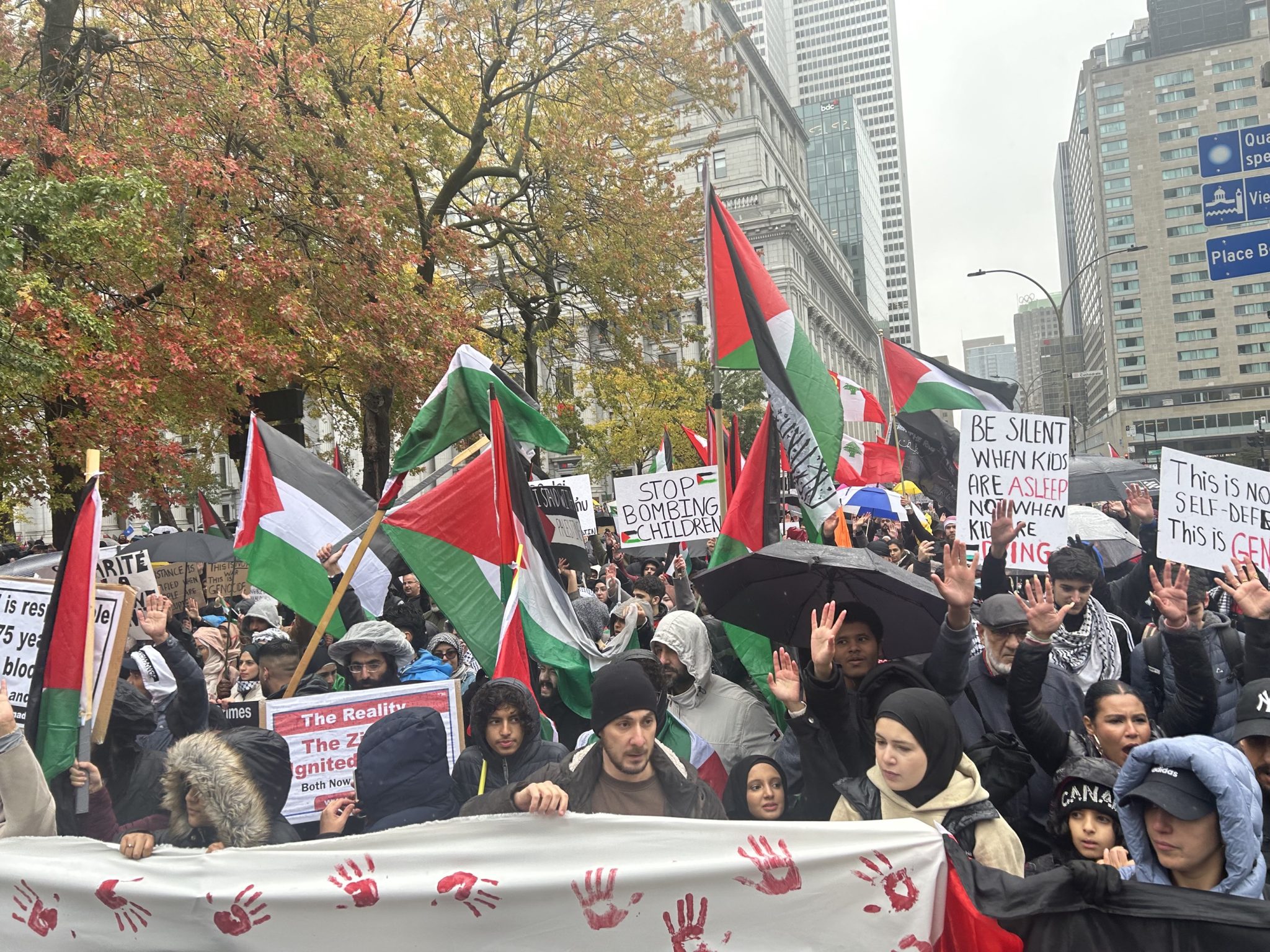 Pro-Palestinian protest in Montreal - CityNews Montreal