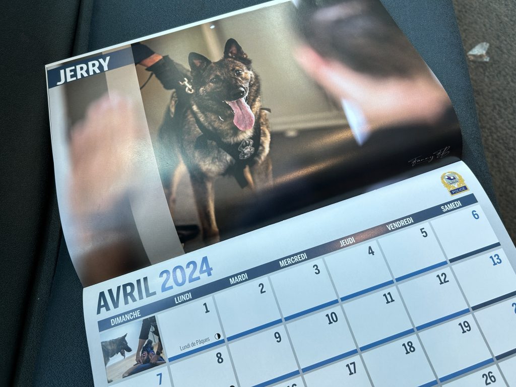 Laval police K9 unit unveils 2024 calendar - CityNews Montreal