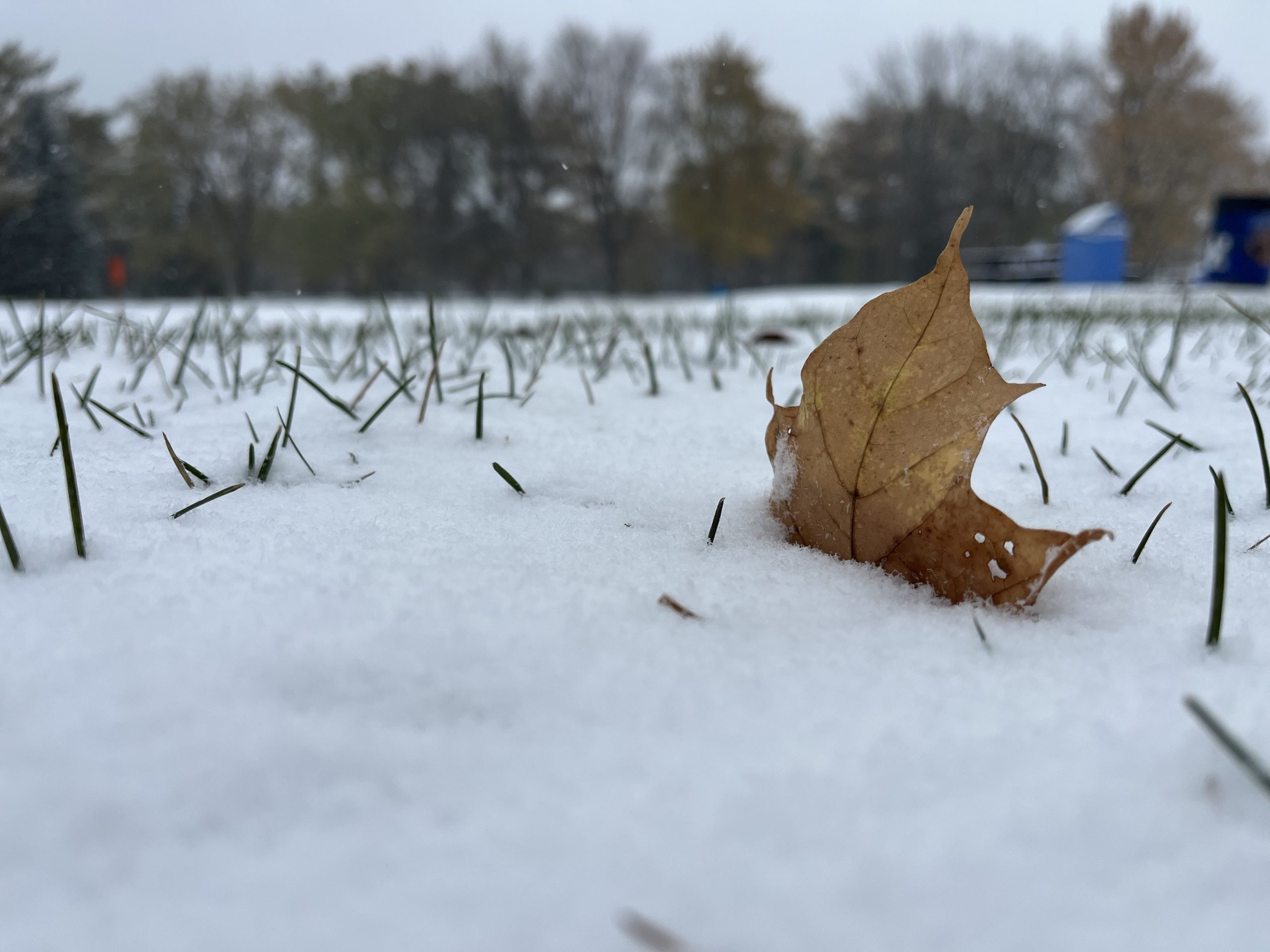 MétéoMédia predicts a mild December followed by a normal, cold and ...