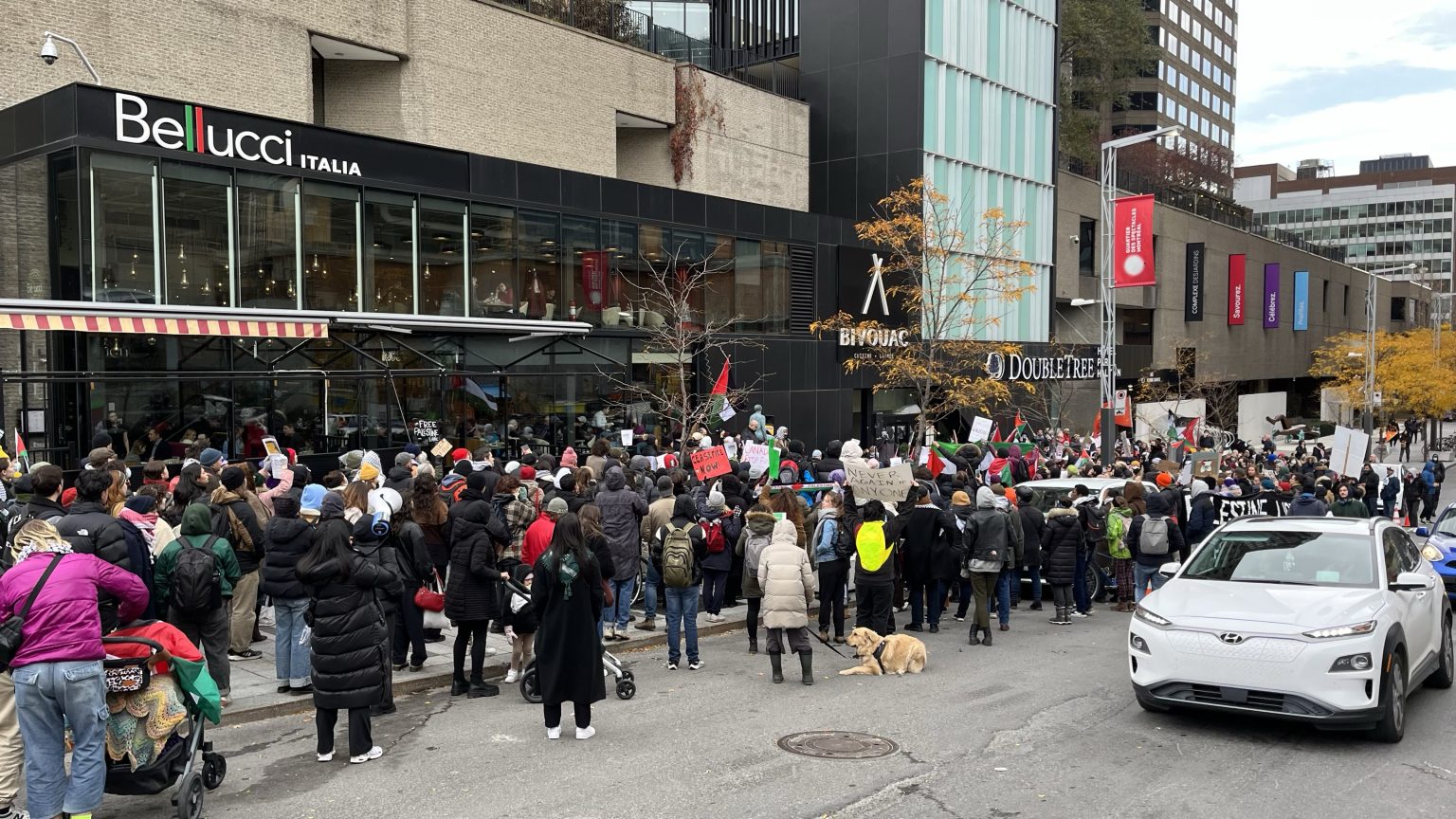 Pro-Palestinian protest outside Melanie Joly speech in Montreal ...
