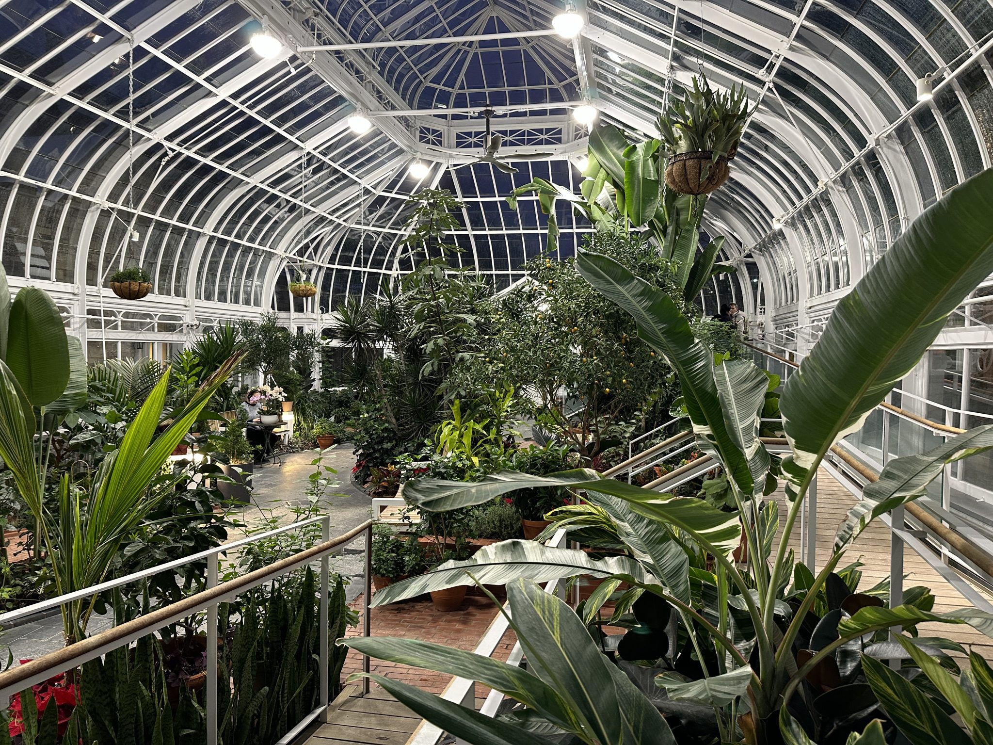 Quebec’s oldest municipal library in Westmount celebrates 125th anniversary