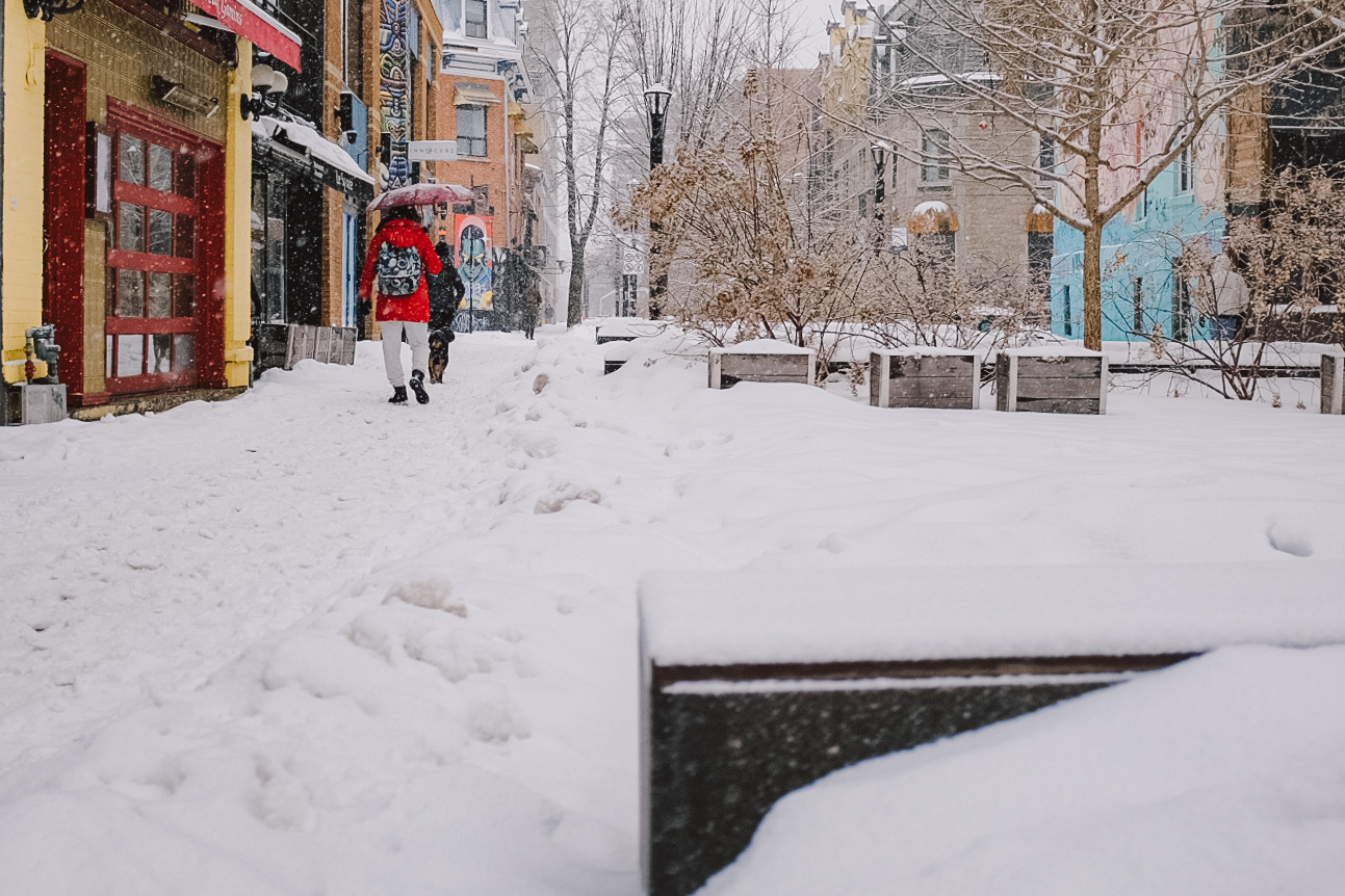 Montreal weather: snowfall briefly turning to rain - CityNews Montreal