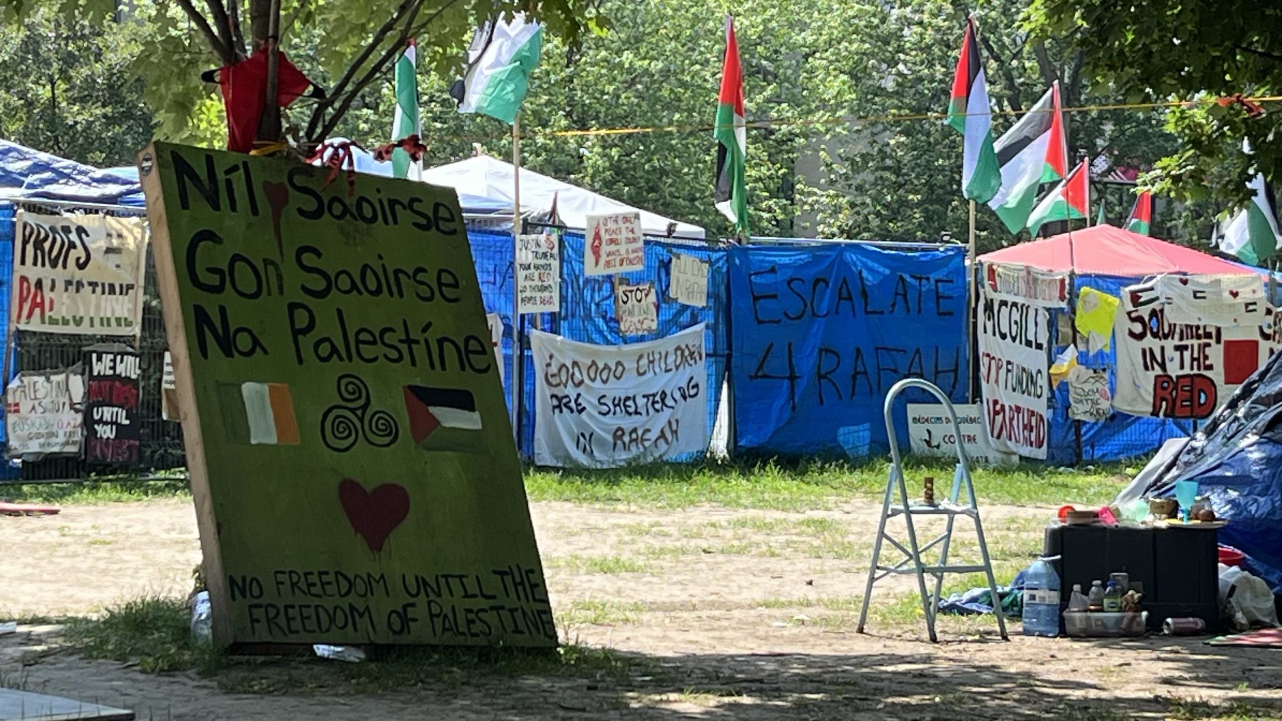 Pro-Palestinian ‘Youth Program’ ad sparks outrage from Montreal’s ...