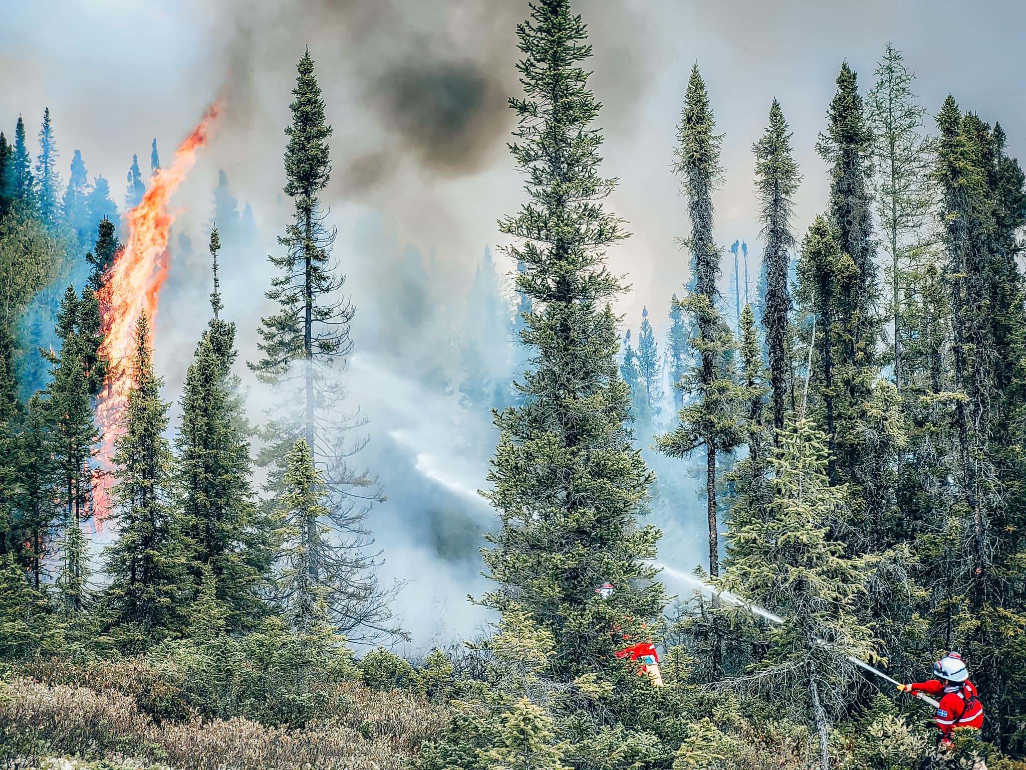 All forest fires contained or under control in Quebec protection zone
