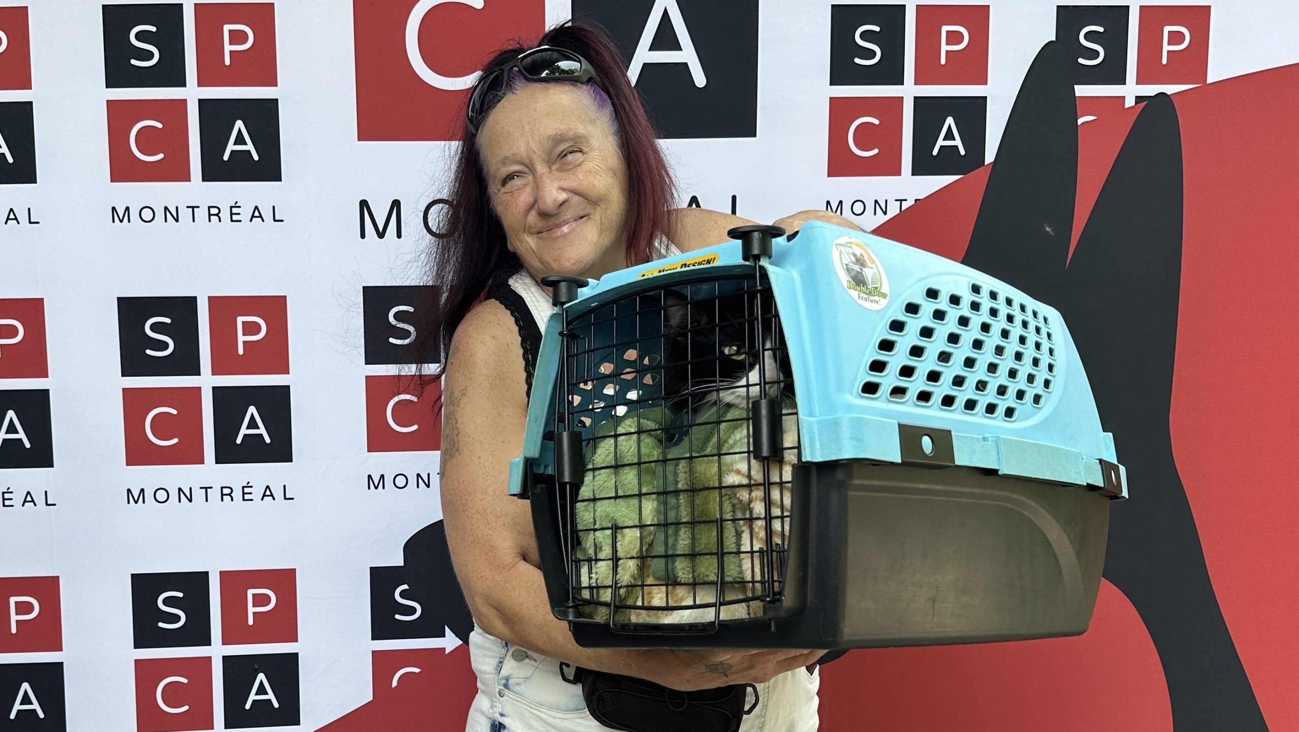 Montreal SPCA hosts free adoption day after influx of animals this summer