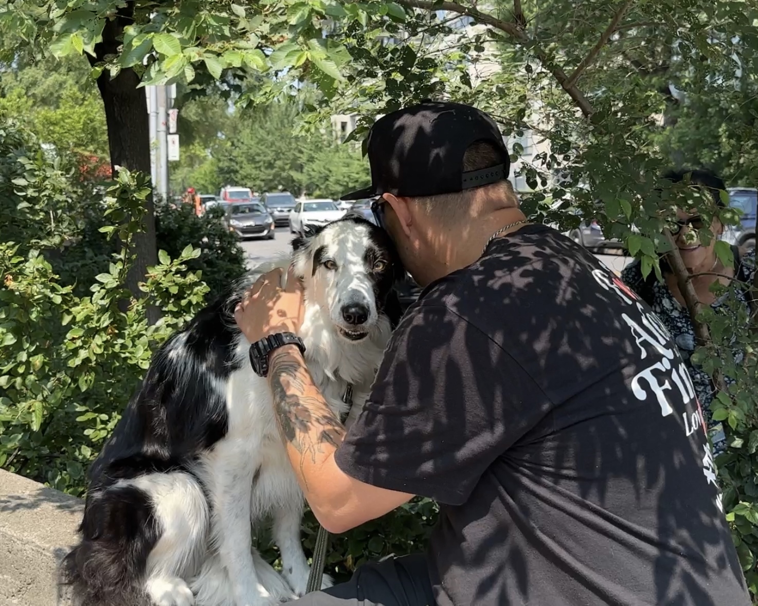 Montreal SPCA hosts free adoption day after influx of animals this summer