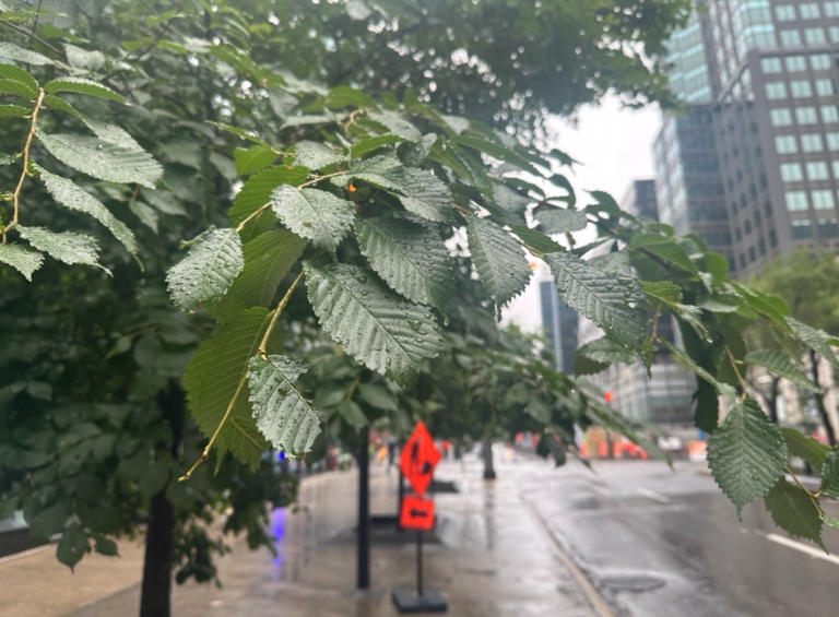 Montreal sees record rainfall, weather alert ends following remnants of ...