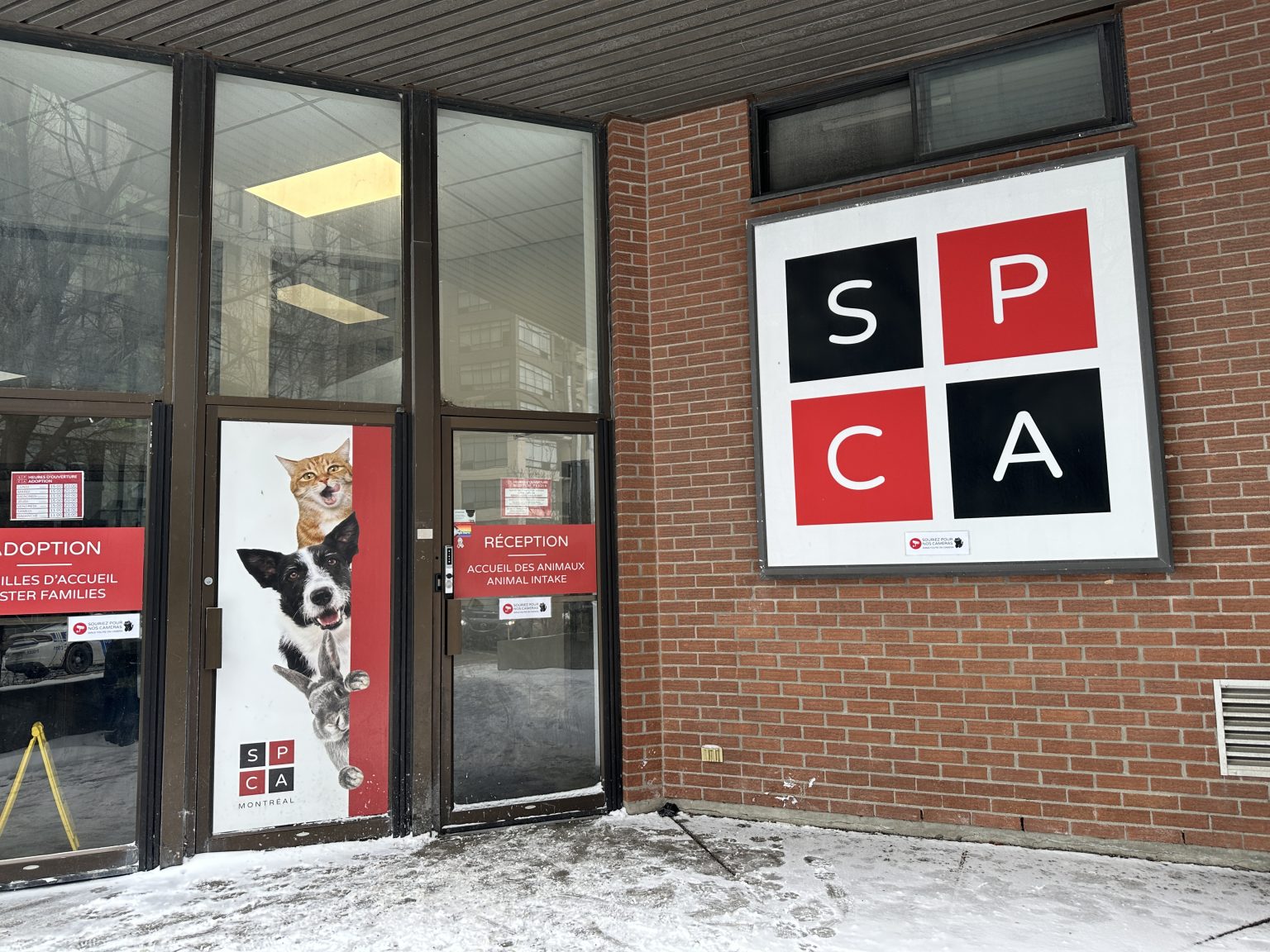 SPCA calls on Montrealers to adopt, foster & donate as shelter reaches ...