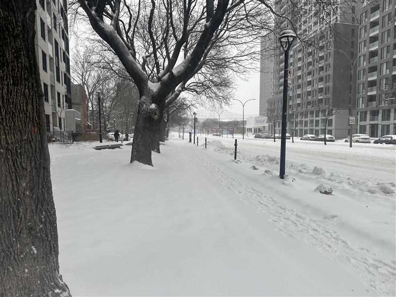 Major snowstorm hits Montreal: schools closed, difficult driving ...