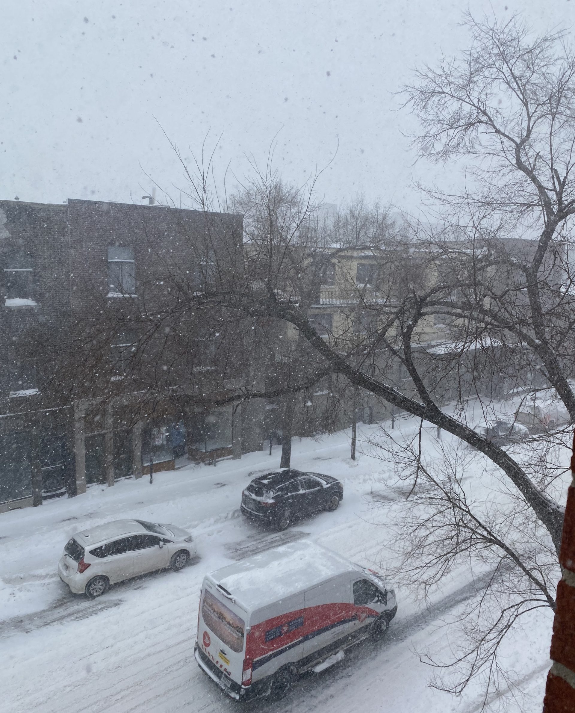 IN PHOTOS: Sights from major winter storm