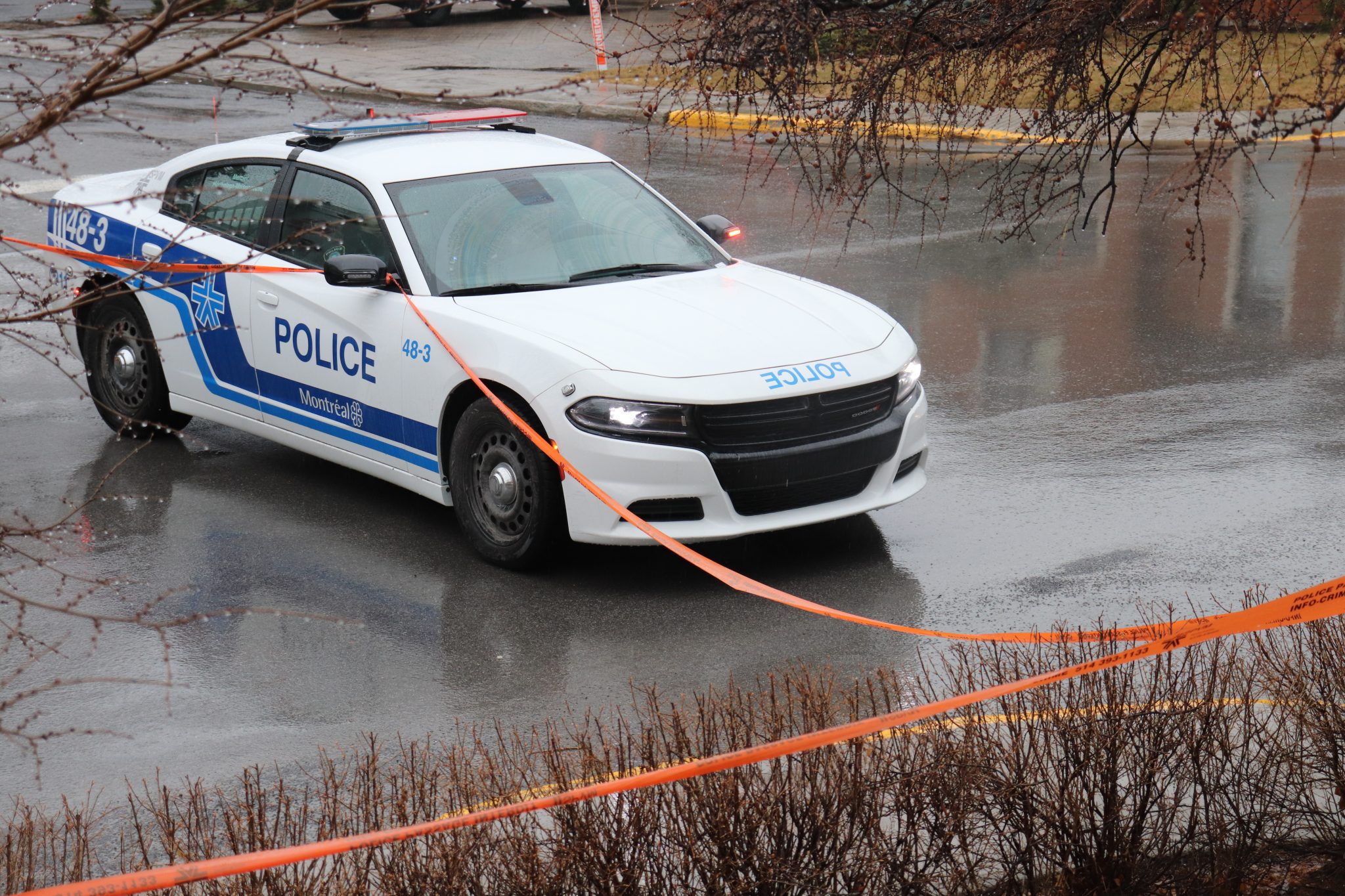 Montreal police arrest man after alleged stabbing, discover dead body ...
