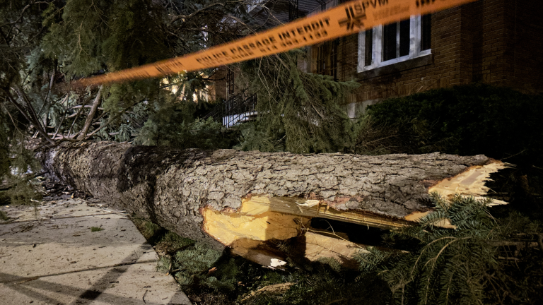 15-year-old in critical condition after being trapped under tree in ...
