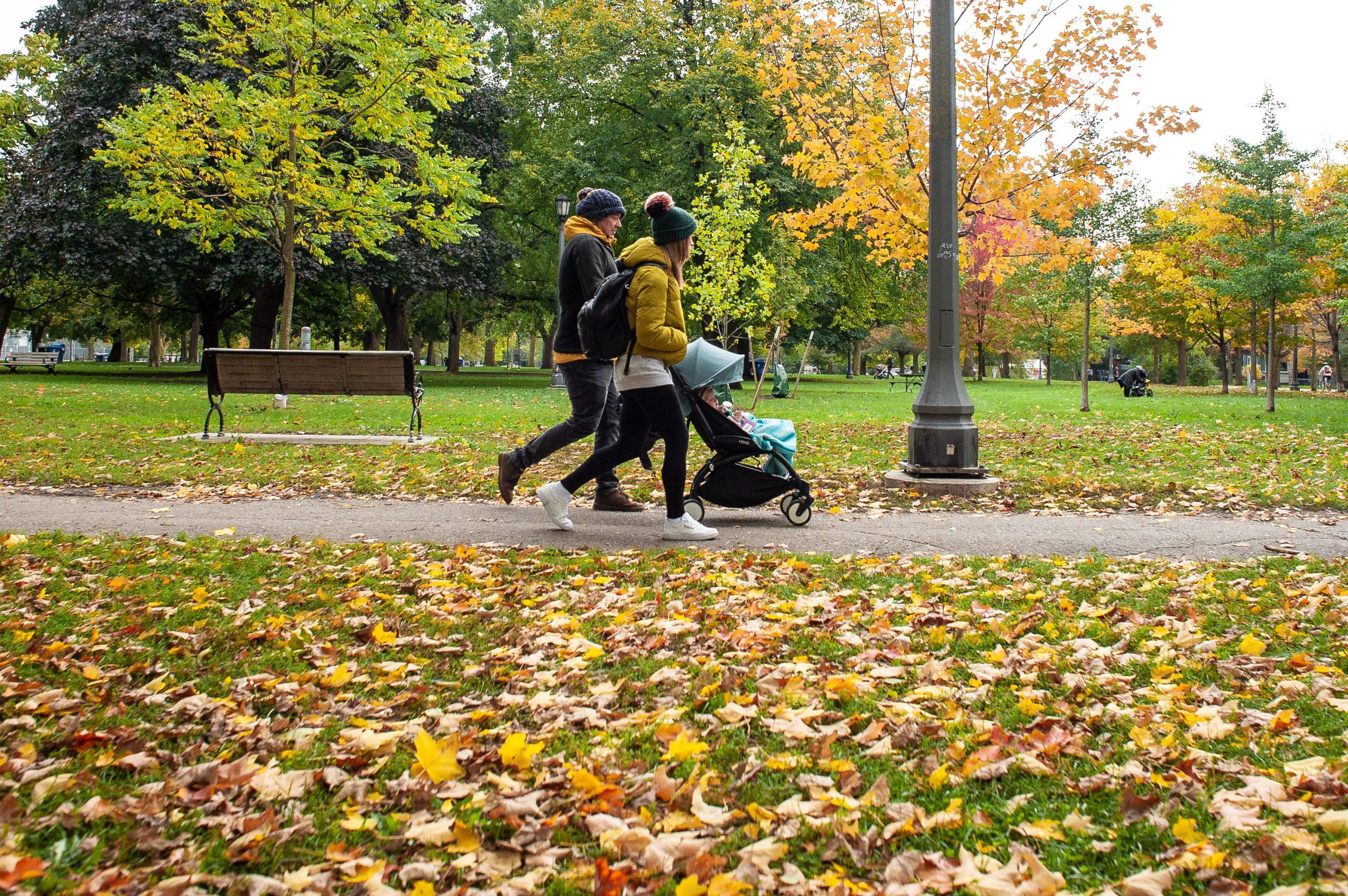 Parental union: useful information to avoid unpleasant surprises