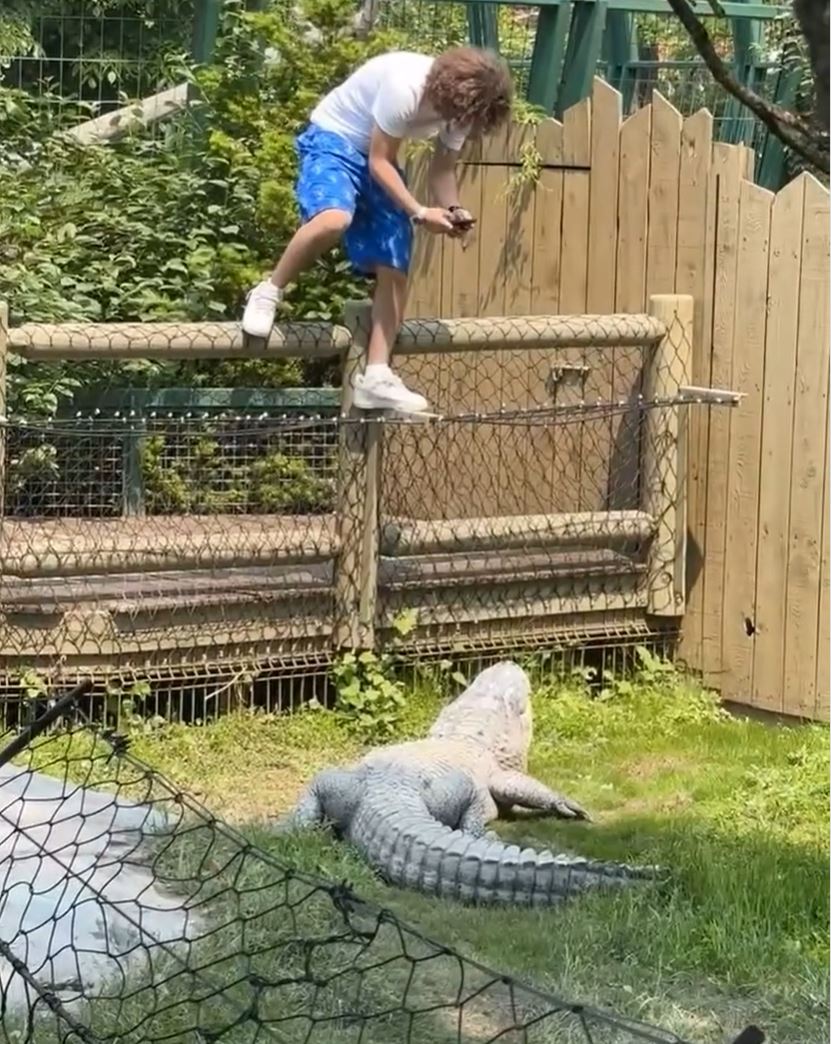 'See you later, alligator': Young man makes unauthorized entry into ...