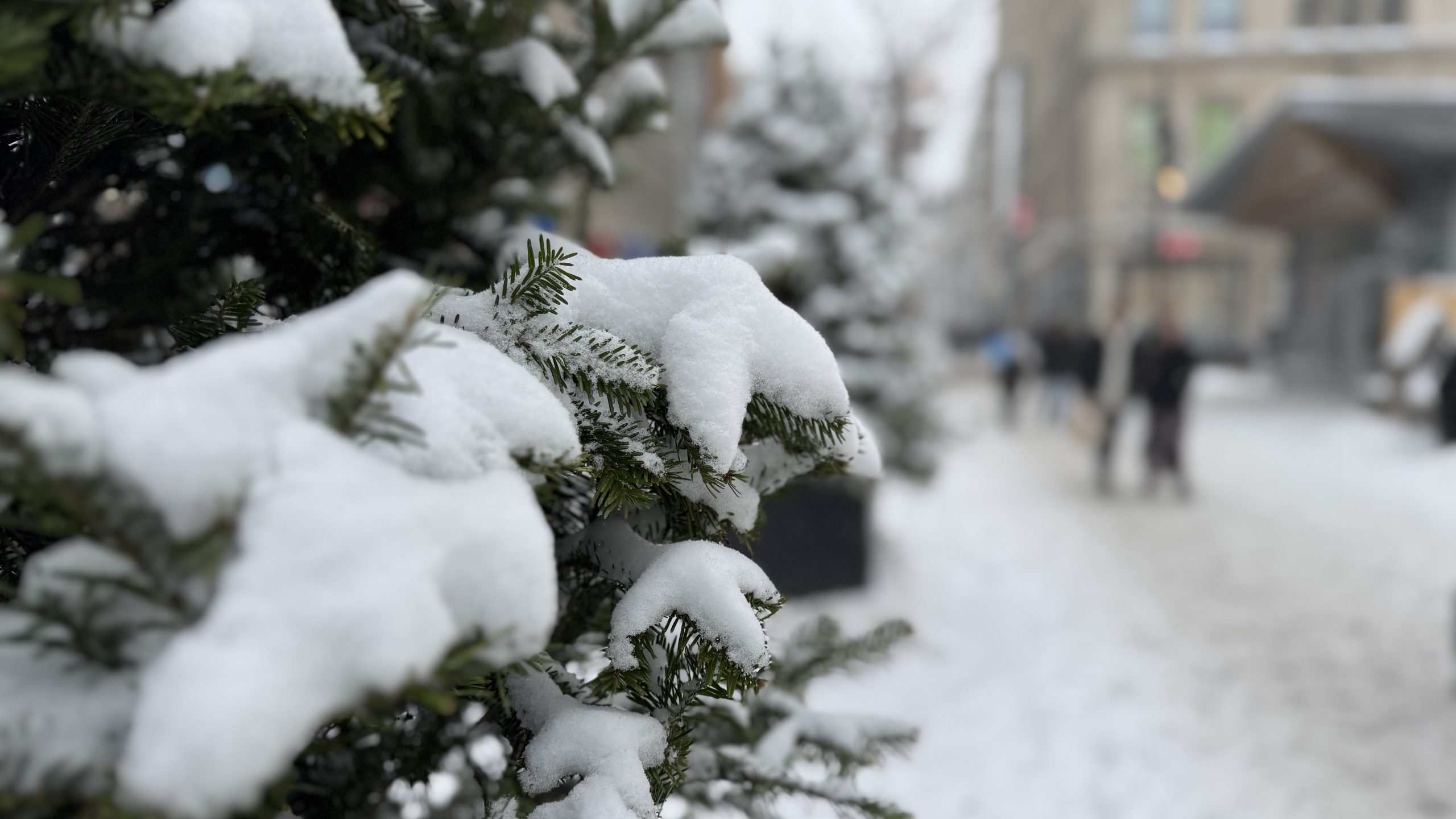 Cold start to the week in Montreal, mid-week rain expected