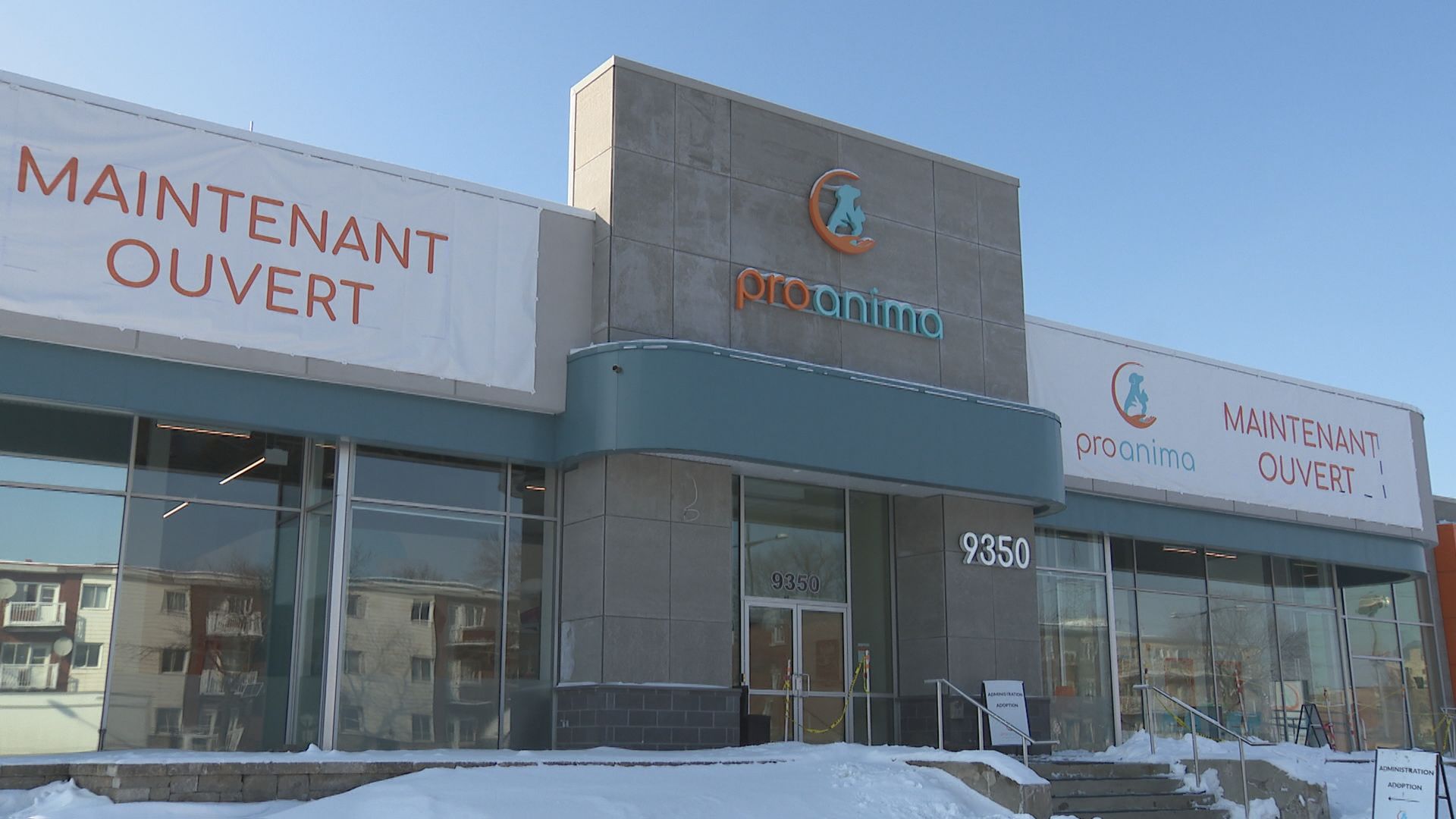 Montreal SPCA replacement Proanima blasted by rescue groups